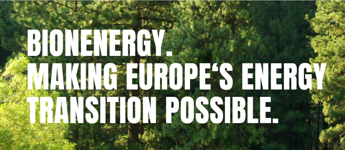 BIOENERGY. Making Europe's energy transition possible - It's possible